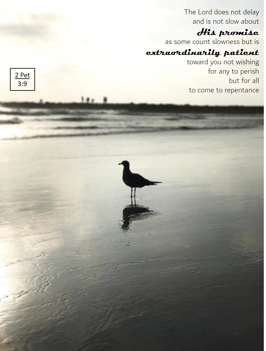 What on Earth have we done with the Teachings of Jesus? ~ Do not swear ...