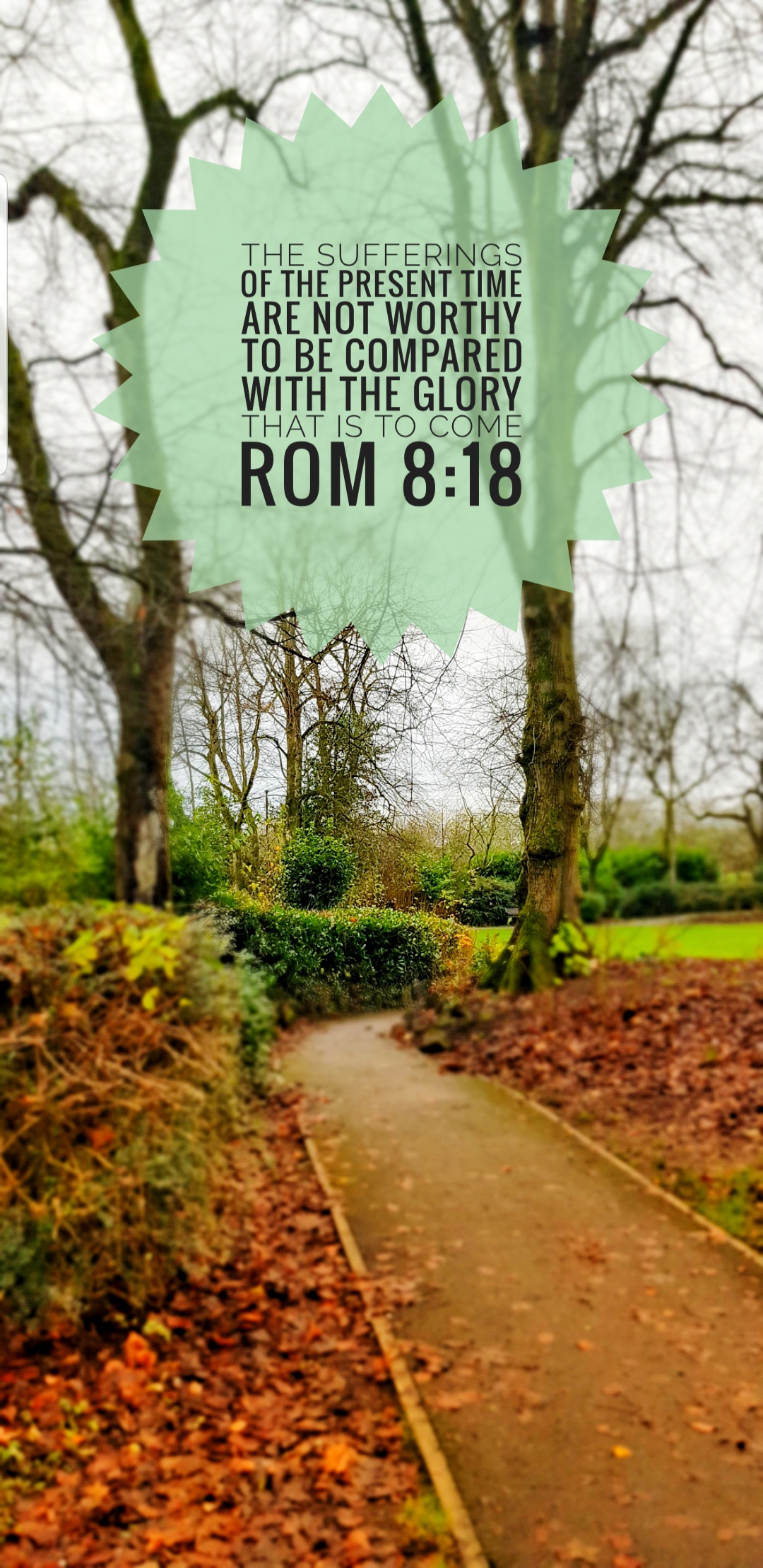 The Lamb takes the Scroll - Such Love